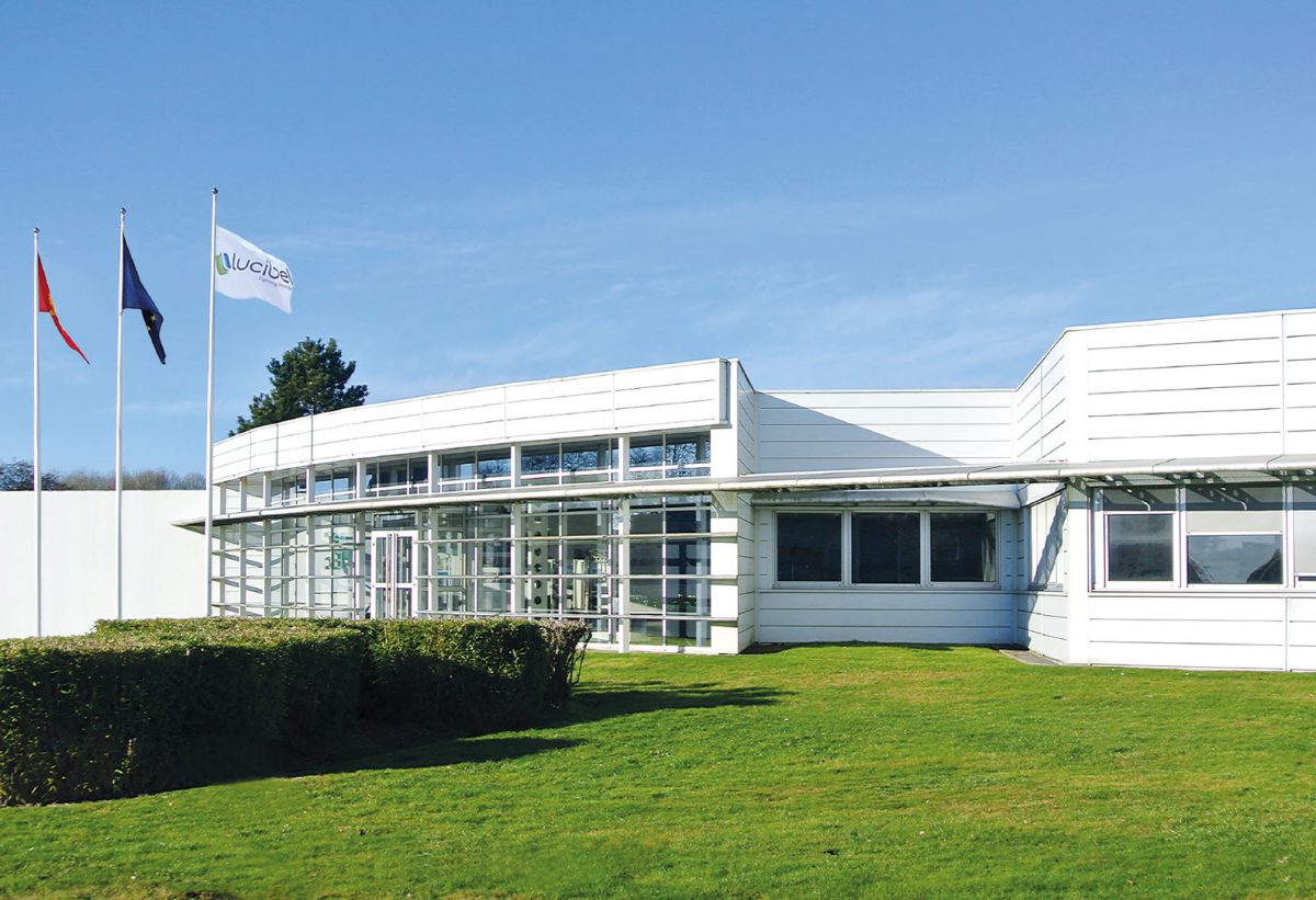 Qui sommes nous ? - Lucibel